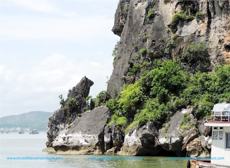 Stone Dog Islet - a Safety Symbol of Halong Bay - Incredible Vietnam ...